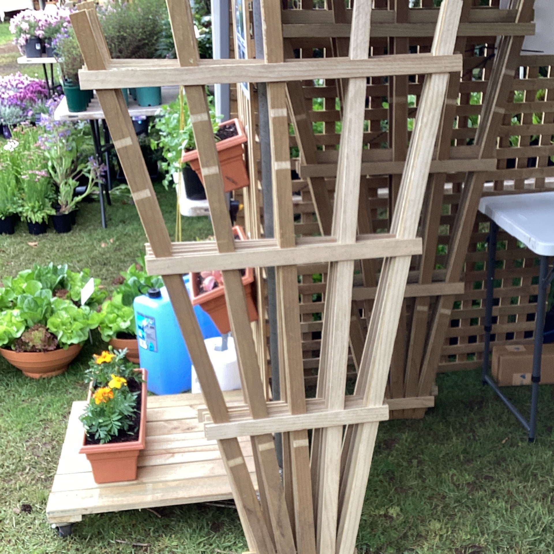 Trellis fan Large | Trellis Products